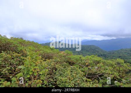 aerial photo of monteverde national park in costa rica, famous cloud ...