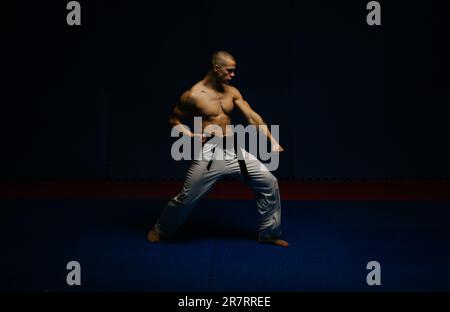 Handsome young man doing the Gedan Barai karate pose at the studio ...