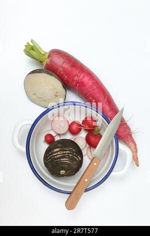 Black radish in the garden Stock Photo - Alamy