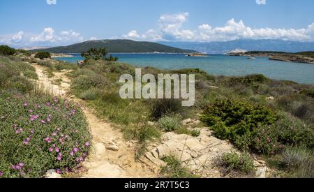 Lagoon, Ciganka beach, near Lopar, Island Rab, Kvarner Gulf Bay ...