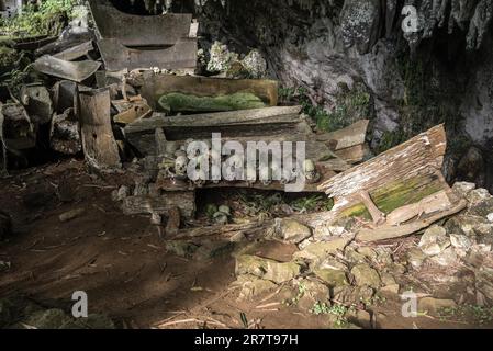 The spectacular cave tomb of Lombok Parinding which has housed the dead ...