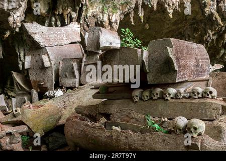 The spectacular cave tomb of Lombok Parinding which has housed the dead ...