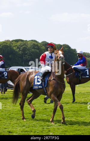 Jockey Amie Waugh on Sound of Iona at York Racecourse Stock Photo - Alamy