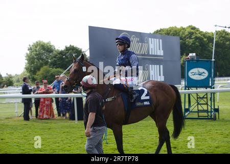 Jockey Frederick Larson on Chipstead at York Racecourse Stock Photo - Alamy