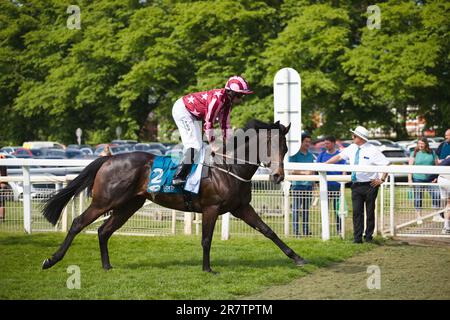 Jockey Rossa Ryan on Verdansk at York Races Stock Photo - Alamy