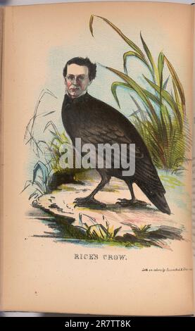Thomas Dartmouth Rice 1851 Stock Photo - Alamy