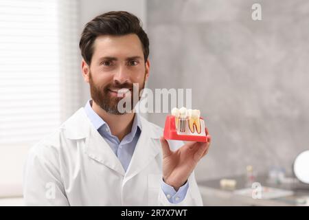 Doctor demonstrating educational model of dental implant in clinic ...