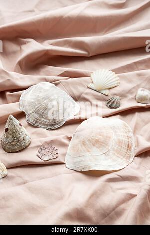 Monochrome seashells aesthetic background. Sea shells summery poster ...