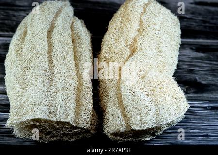 A bathroom loofa sponge, Loofah, Luffa, atropical and subtropical vines ...