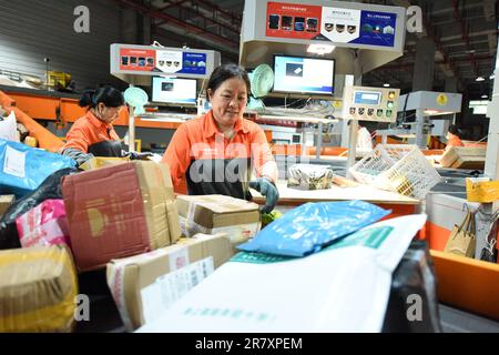 Express workers sort parcels on an assembly line at an e-commerce ...