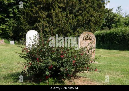 St. Michael's and All Angels Church, Edwyn Ralph Stock Photo - Alamy