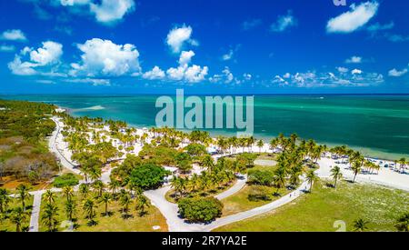 Beautiful Crandon Park beach in Key Biscayne in Miami, USA Stock Photo ...