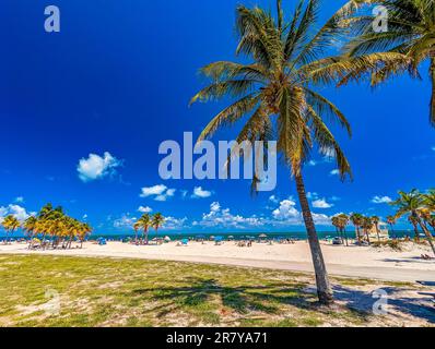 Beautiful Crandon Park beach in Key Biscayne in Miami, USA Stock Photo ...