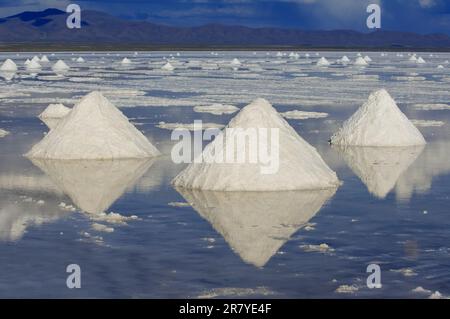 Salt pyramids, extraction, production, salt works, Salar de Uyuni salt ...