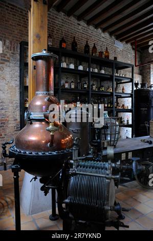 National Genever Museum, Hasselt, Limburg, Belgium Stock Photo - Alamy