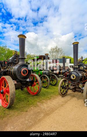 Three traction engines being prepared for display at Abbey Hill Steam ...