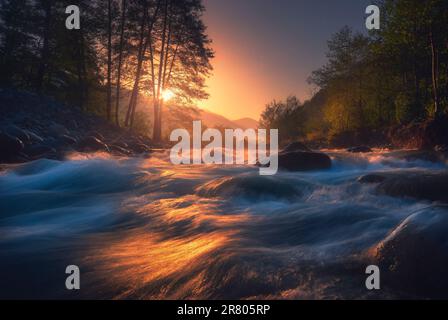 Beautiful fast river flows in mountain forest at sunrise Stock Photo ...