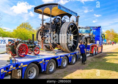 Two traction engines being taken home on a low loader from Abbey Hill ...