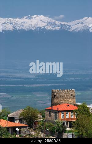 Magic View of Signagi and caucasus mountain range Stock Photo - Alamy