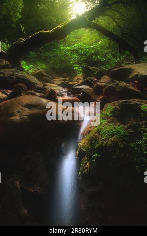 A stream of pure water flowing between lichen-covered boulders in a ...