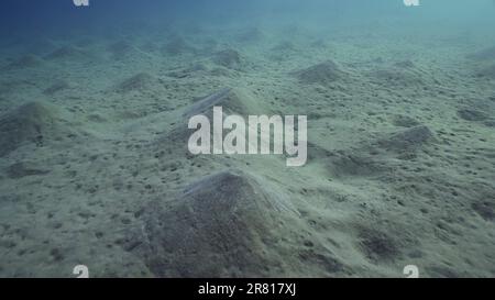 Sandy silty bottom covered with sand hills, Camera moving forwards ...