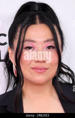 Sherry Cola attending the New York Premiere of "Little Brother" at The ...