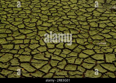 Dried pond sludge Stock Photo - Alamy