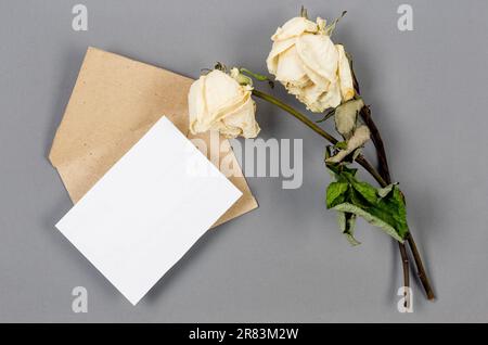 Two dried white roses with empty white blank. The concept of mourning ...