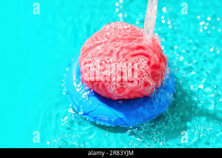 Human brain model floats on an inflatable tube in the pool. Creative ...
