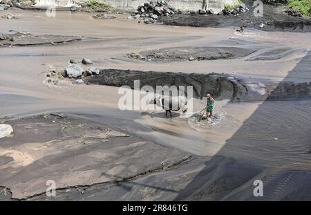 Filipino man clears the river stream bed overgrown with ashes from the ...