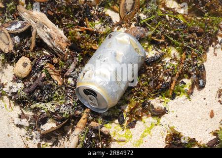 Rotten can, beach, Mauritius Stock Photo - Alamy