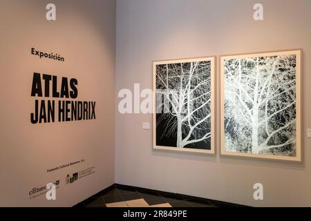 Art exhibition 'Atlas' by Jan Hendrix, artwork in central courtyard of ...