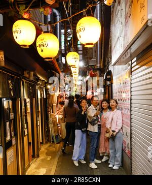 Tokyo Alley Omoide Yokocho Yakitori Restaurant Food Stall Shinjuku ...