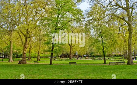 London Camden Russell Square inside the gardens with trees and leaves ...