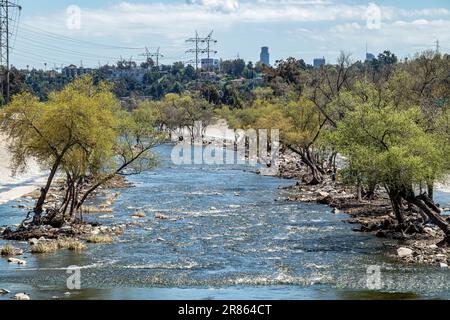 Most vegetation was washed away along the Los Angeles River after heavy ...