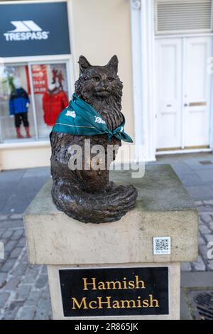 Statue for Hamish McHamish of St Andrews, Cool Cat About Town Stock Photo - Alamy