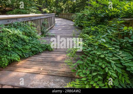 Acorn Bridge between the Meditation Garden and the Flower Garden at the ...