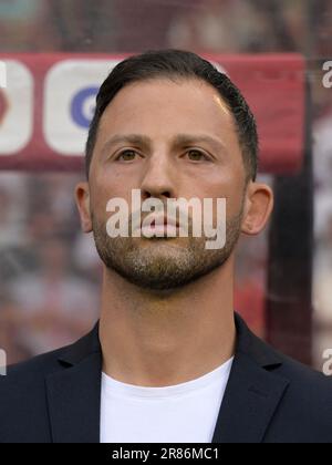 BRUSSELS - Belgium trainer coach Domenico Tedesco during the UEFA EURO ...
