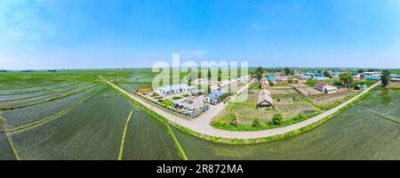 Harbin, China. 20th June, 2023. Photo taken on June 14, 2023 shows the ...