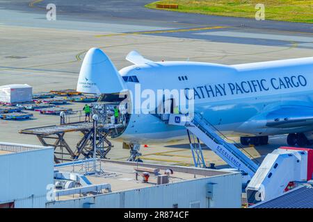 A Cathay Pacific Cargo jet being loaded at Sydney (Kingsford Smith ...
