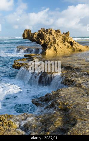 Dragon Head Rock on Mornington Peninsula Australia Stock Photo - Alamy