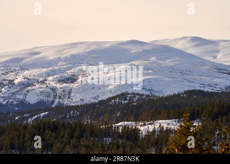 A picturesque winter landscape of Norefjell, Norway with tall, snow ...