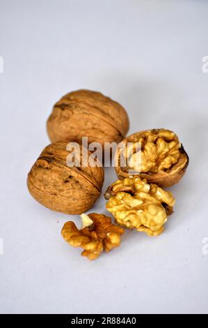 Walnut, true Persian walnut (Juglans regia Stock Photo - Alamy