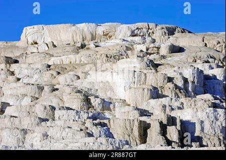 Minerva Terrace, Lower Terraces, Mammoth Hot Springs, Yellowstone ...