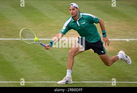 Jan-Lennard STRUFF (GER), action, tennis, bett1HULKS Indoors 2020 ...