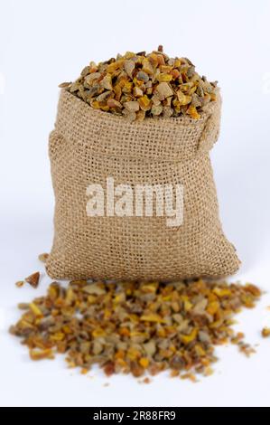 Curcuma root tubers (Curcumae Radix), Yu Jin, freehand, object Stock ...