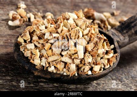 Common Anemarrhena rhizome (Anemarrhenae rhizoma), Zhi Mu Stock Photo ...
