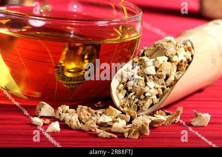 Anemarrhena rhizome tea (Anemarrhenae rhizoma), Zhi Mu, Anemarrhena ...
