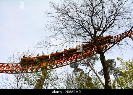 Roller coaster with full carriages in the amusement park Stock Photo ...
