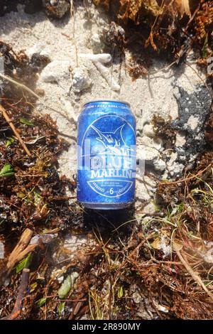 Rotten can, beach, Mauritius Stock Photo - Alamy